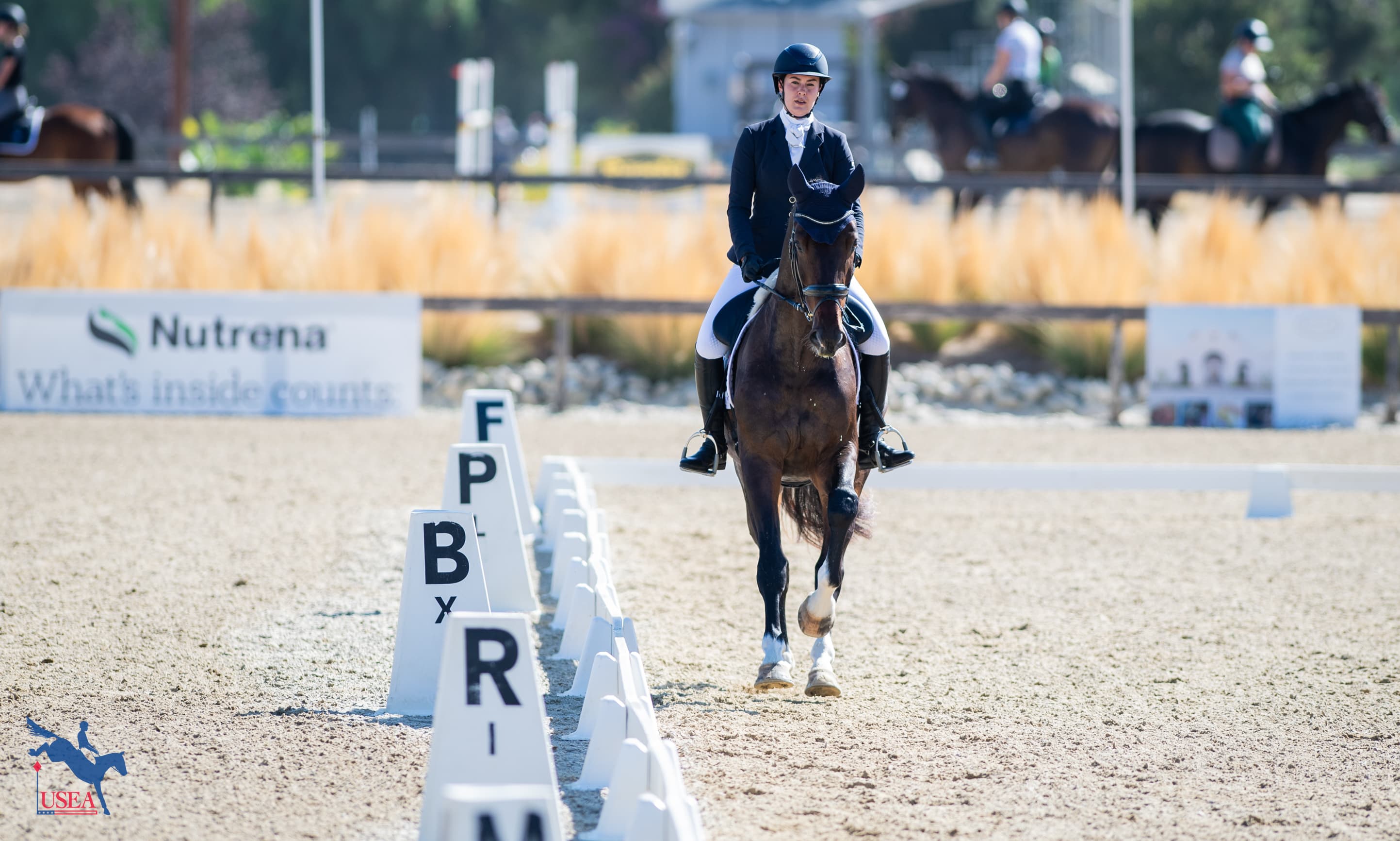 USEA | USEA, United States Eventing Association, Inc.