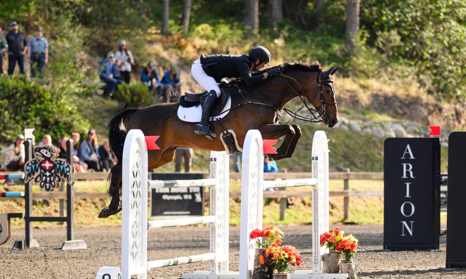 USEA | Gridwork for the Young Event Horse