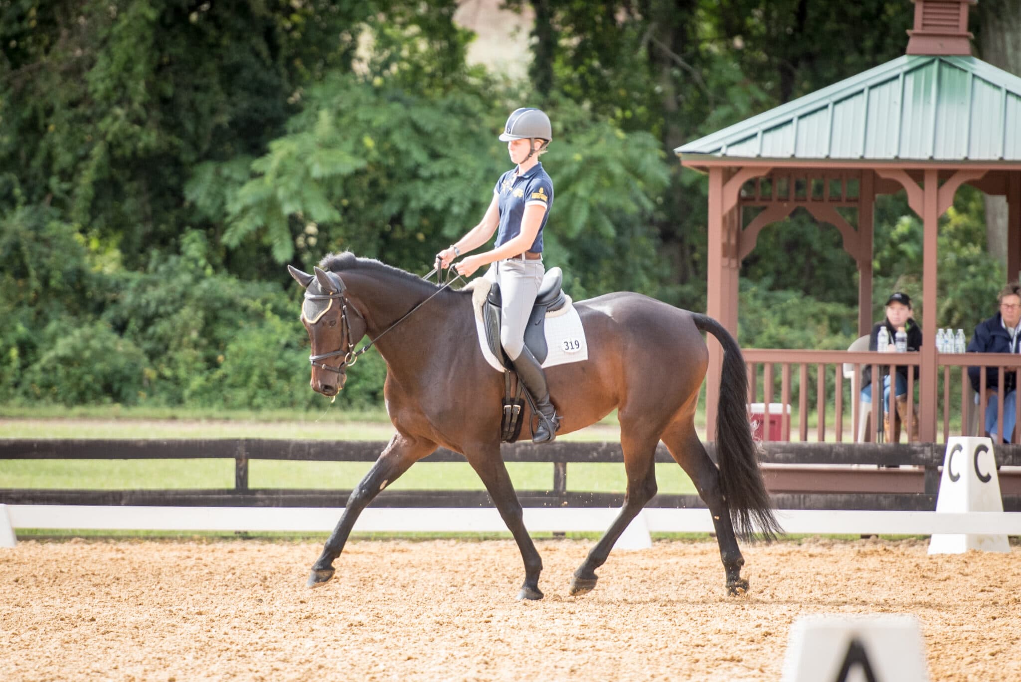 USEA | Eventing Tests Introduce Riders to the Sport