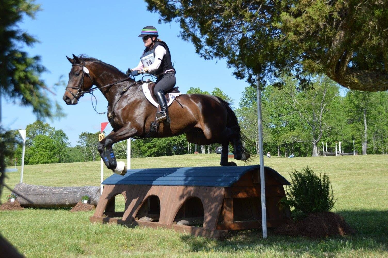USEA | USEA Events A-Z: Windridge Farm Horse Trials